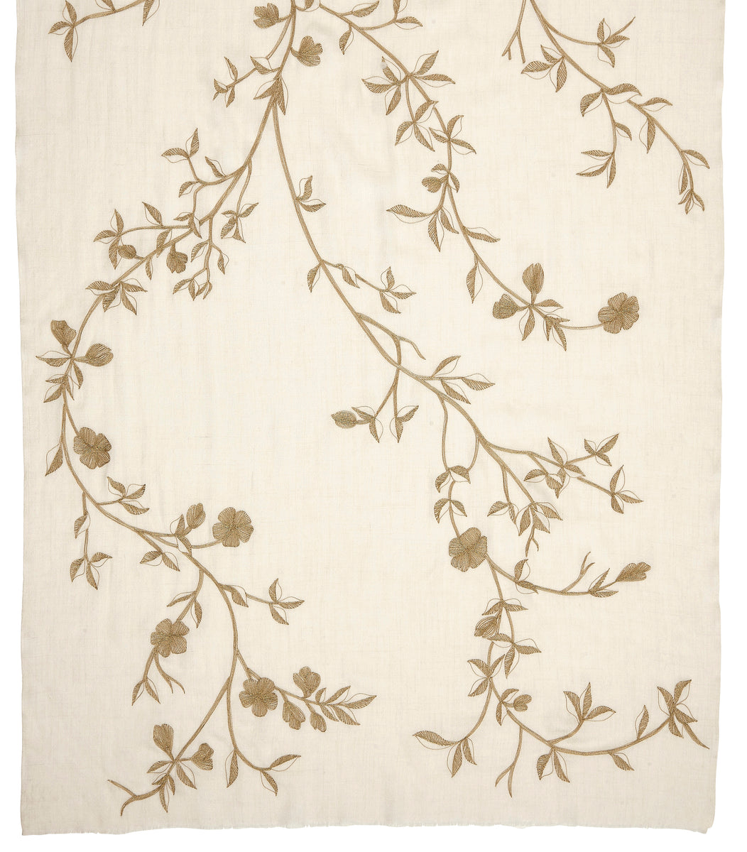 AMELIA – Jodi Rose